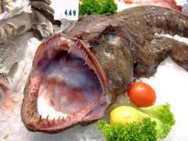 Very Good Recipes of Monkfish from Irish Food Guide Blog