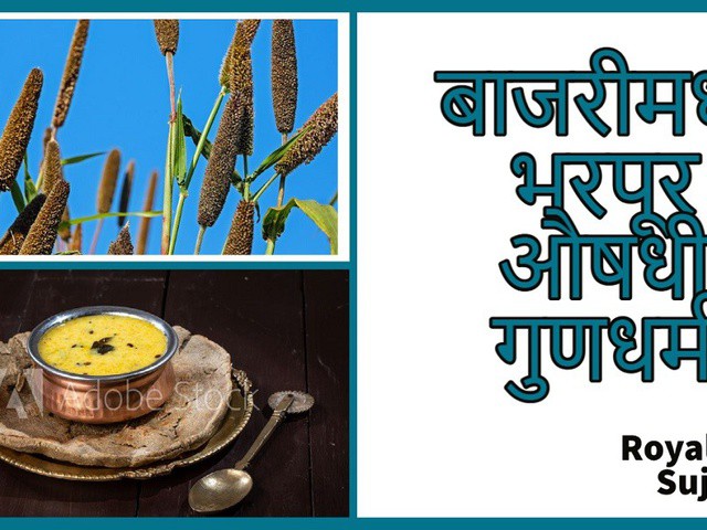 Very Good Recipes of Millet and Rôti