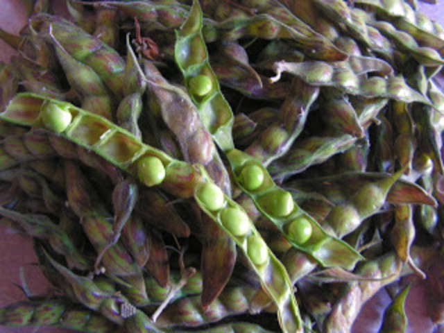 Very Good Recipes of Pigeon Pea